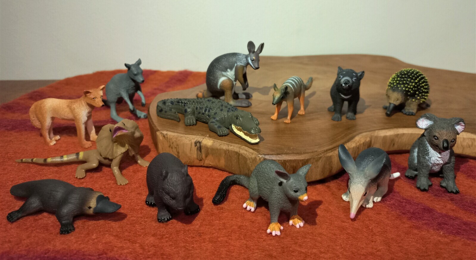 Australian Animal Replicas - Individual - Animals of Australia